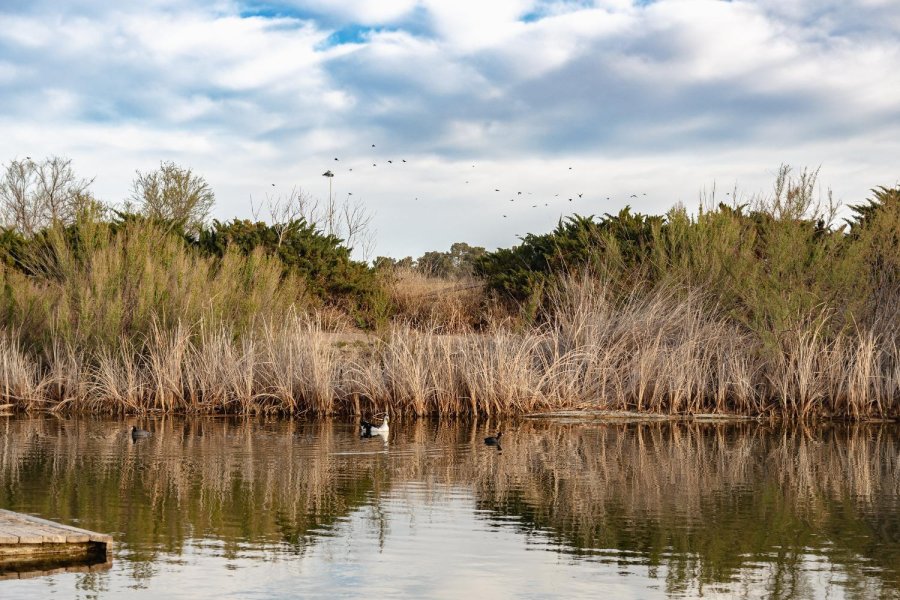 Top 15 Attractions in Midland | Things to do in Midland